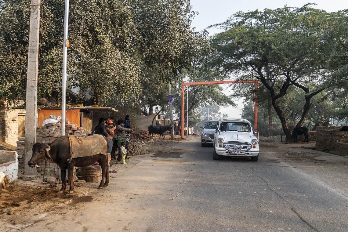 Teachings Begin in Sankisa | The 14th Dalai Lama